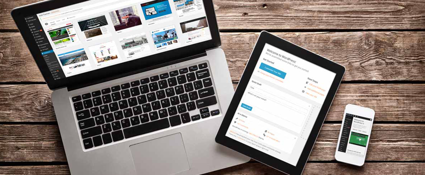Ways To Protect Ur Wordpress Website From Security Threats Saskatoon